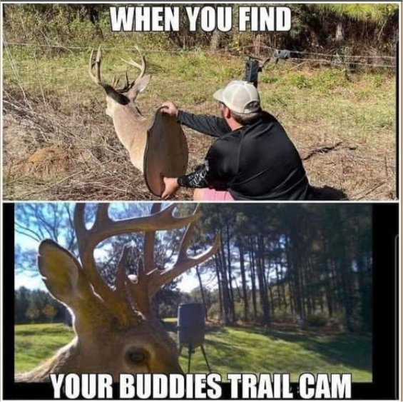 Random Photo: It's Almost Hunting Season - MajorGeeks