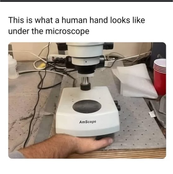 Random Photo: Under the Microscope - MajorGeeks