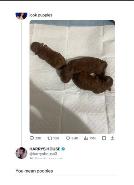 Random Photo: Look at the Puppies... - MajorGeeks