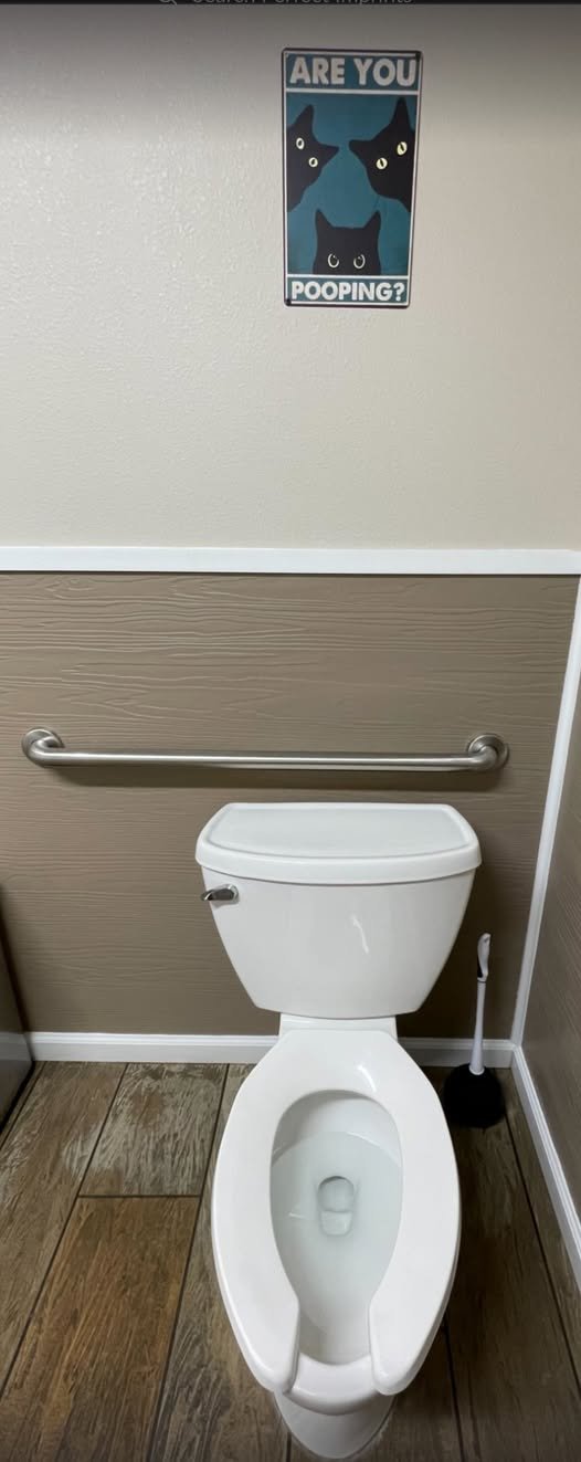 Random Photo: The Caturday Poop - MajorGeeks