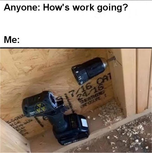 Random Photo: How's Work Going? - MajorGeeks