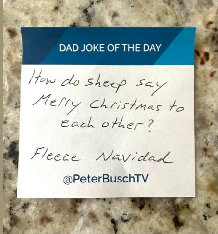 Random Photo: Christmas Sheep - MajorGeeks