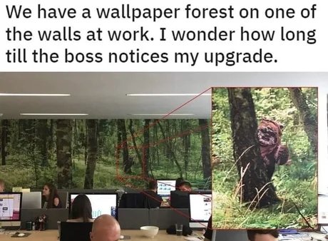 random Photo: Office Upgrade - MajorGeeks