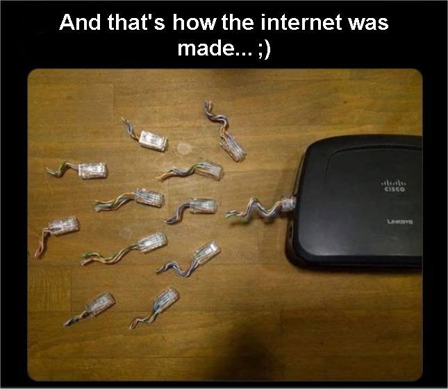 Random Photo: The Internet - MajorGeeks