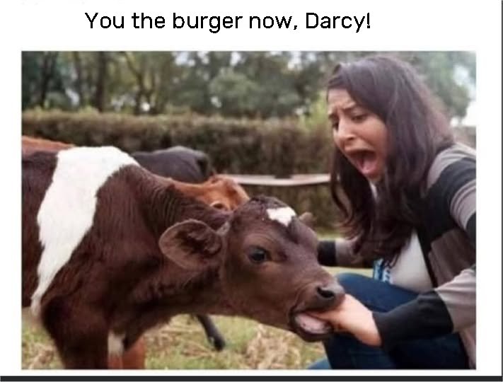 Random Photo: Burger Time! - MajorGeeks