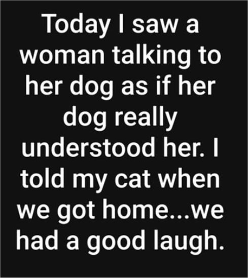 Random Photo: Dog Talk Caturday - MajorGeeks