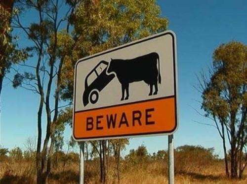 Classic Australian Signs (16 Photos) - MajorGeeks