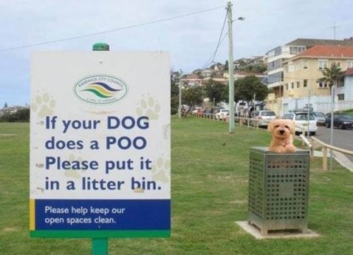 Classic Australian Signs (16 Photos) - MajorGeeks