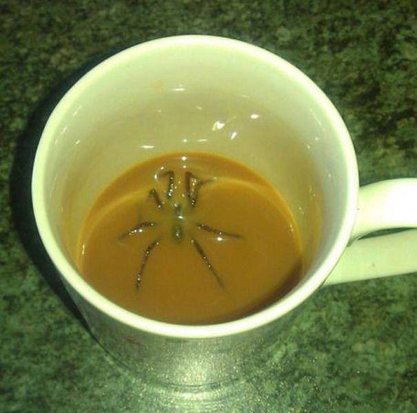 That feeling when there was a bug in the coffee you were drinking. : r ...