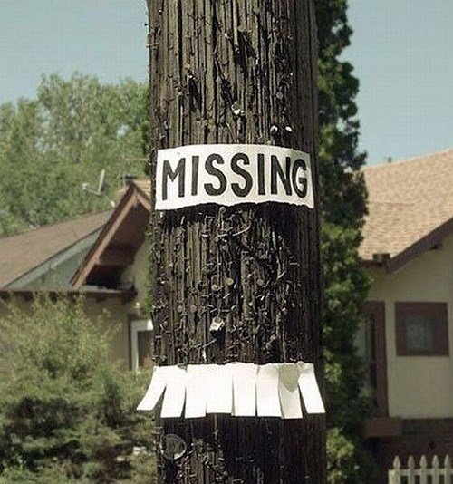 Random Photo: Something's missing - MajorGeeks