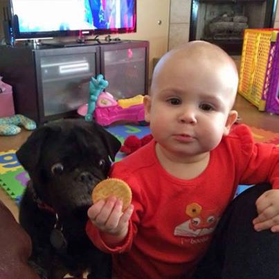 What's up dog? (8 Photos) - MajorGeeks