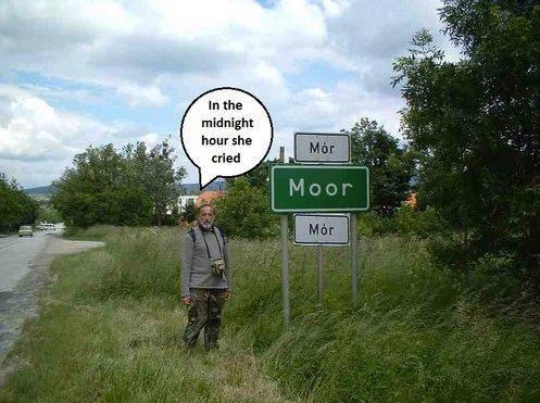 It's a Sign (7 Photos) - MajorGeeks