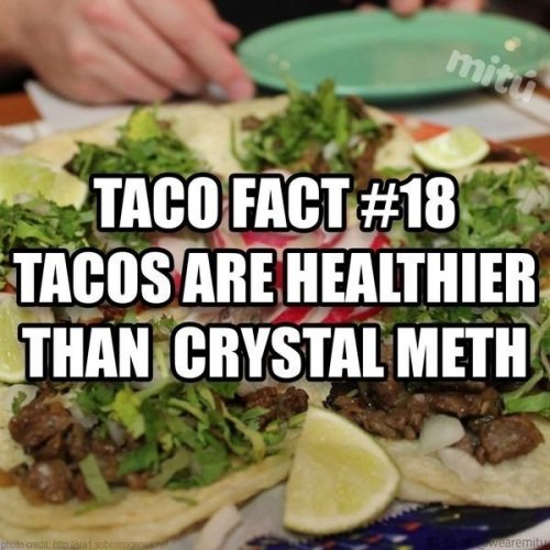 Random Photo: Taco Fact #18 - MajorGeeks